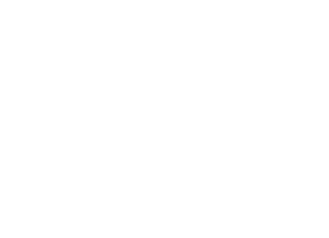 The Platform - Pro-Vigil Video Surveillance